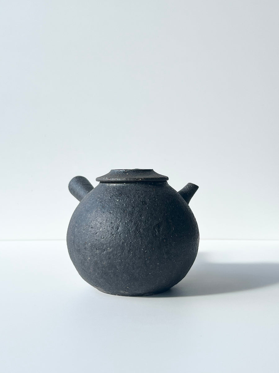 Masashi Tsunokake Tetsuyu Tea Pot – ARTEAO